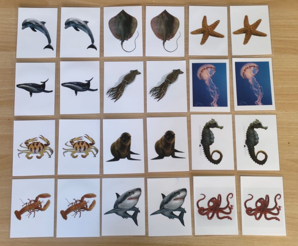 SEA ANIMAL MATCHING CARDS - Ali Shah Preschool Toys
