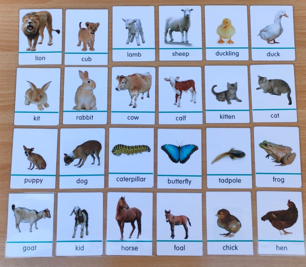 ANIMAL & THEIR BABIES MATCHING CARDS - Ali Shah Preschool Toys